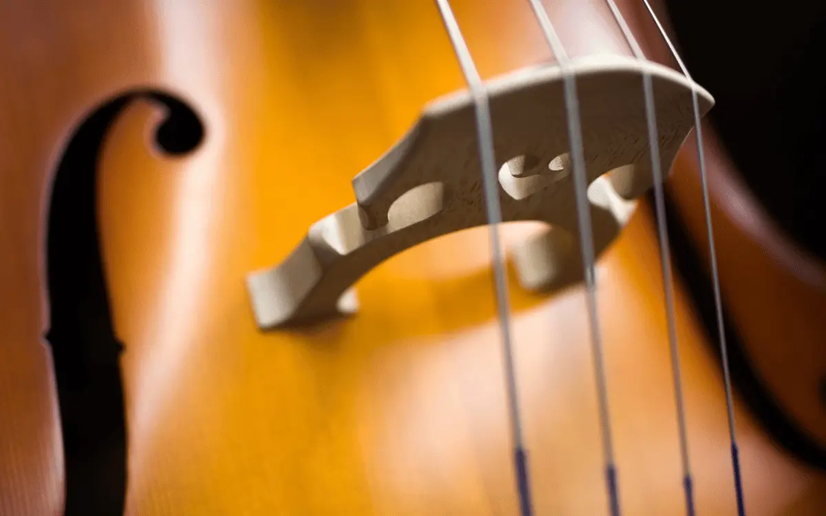 Mastering the Art of Upright Bass: A Beginner's Guide