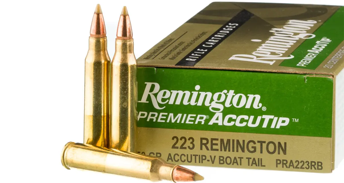 The Ballistics and Accuracy of the 223 Remington Bullet